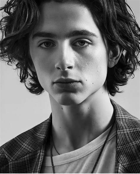 Pin By Gautier1304 On Enregistrements Rapides Timothee Chalamet