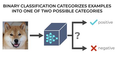 binary classification explained r craft