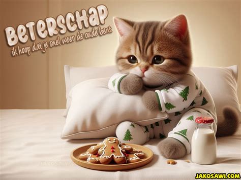 Jakosawi Gratis Wenskaarten E Cards Beterschap
