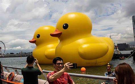 Patitos amarillos Qué significa usarlos en la cabeza Telediario México