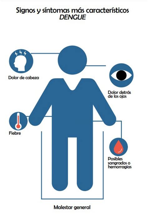 Virus del dengue cómo prevenirlo qué debe saber sobre el zancudo y