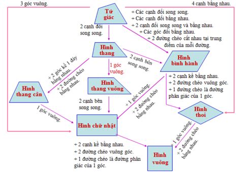 Tổng hợp Vẽ sơ đồ tư duy tứ giác lớp 8 Cho học sinh hiệu quả hơn trong