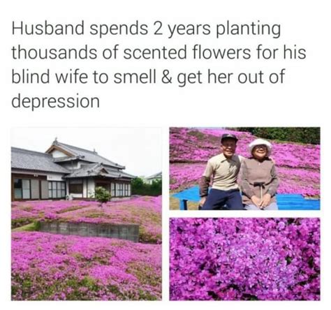 Wholesome Af Meme Meme Subido Por Tyehoax Memedroid