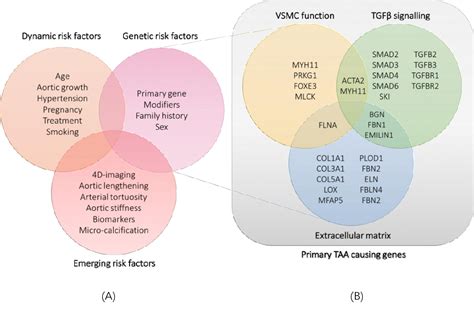 Figure 1 From The Role Of Genetics In Risk Stratification Of Thoracic