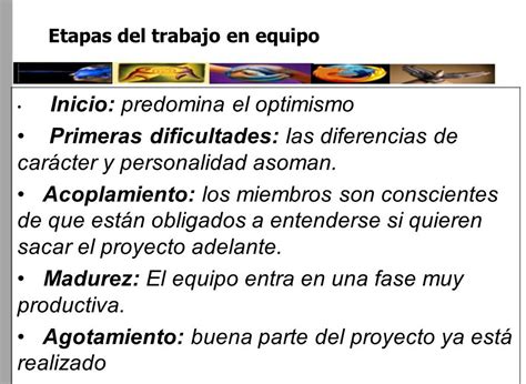 FOLCanarias Etapas De Equipo De Trabajo