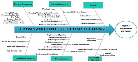 Solved Make A Fishbone Map Showing Causes And Effects Of Climate