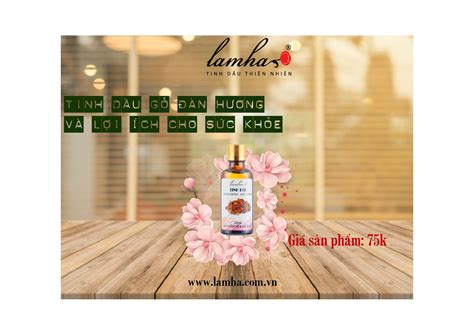 Tinh dầu gỗ đàn hương và sức khỏe Nhật ký tinh dầu Lam Hà