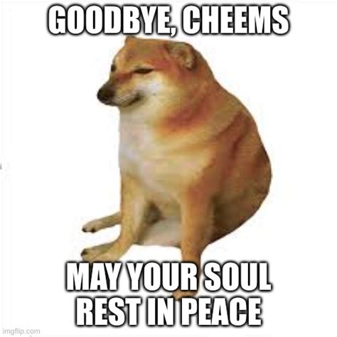 Goodbye Cheems Imgflip