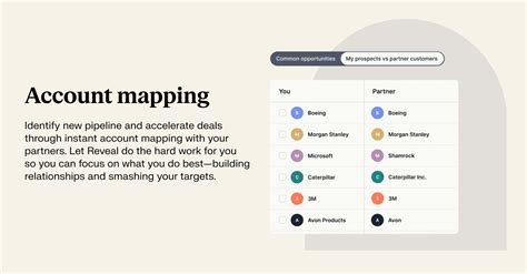 Automated Account Mapping Software Reveal