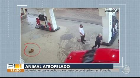 Vídeo motorista atropela cachorro em posto de combustível no Piauí e