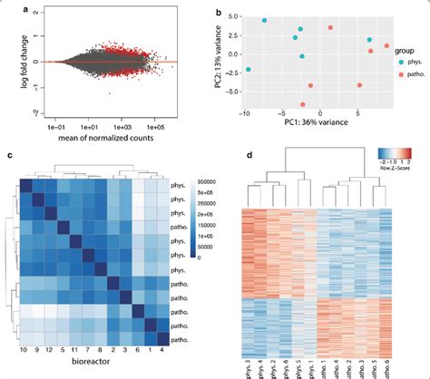 Principal Component Analysis Pca And Hierarchical Clustering For