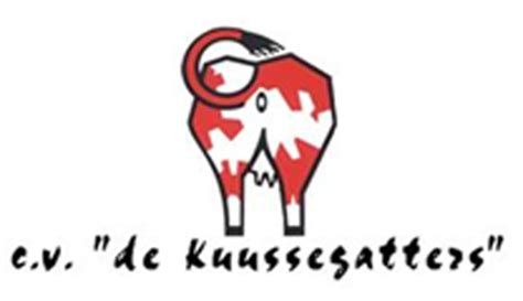Jeugdprins Milan D N Urste Onthuld Veghel In Beeld