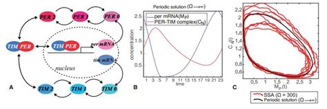parameter sensitivity analysis for biochemical reaction networks