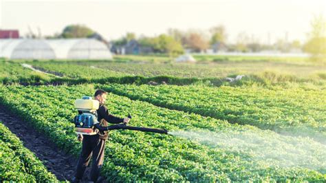 Metodos De Control De Plagas En Cultivos Agricolas Control De Plagas
