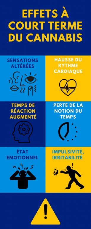 Pletyka V Gyakoz S Megfojt Effet Du Cannabis Sur Le Cerveau A Long