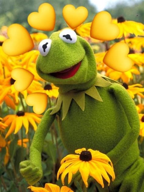 Kermit Wallpaper Explore More Frog Jim Henson Kermit Muppet