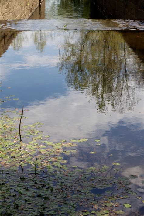 Banco De Imagens Panorama Rvore Agua Natureza P Ntano Regi O