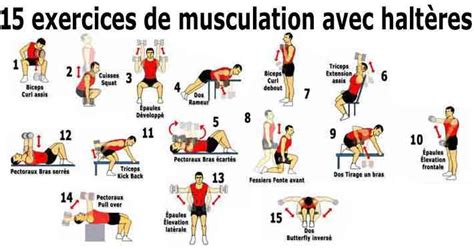 Chauss E Pas Clair Steak Exercices Pectoraux Maison Halteres La