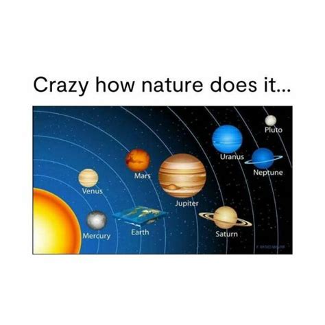 Randomly Funny Memes To Lift Your Spirits 45 Pics