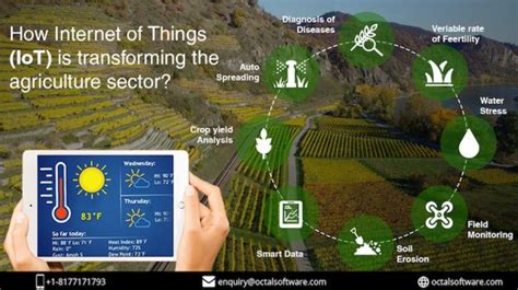 How Internet Of Things IoT Is Transforming The Agriculture Sector