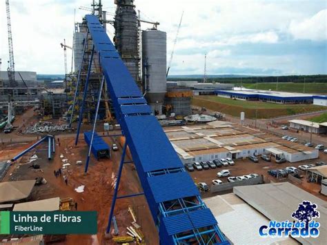 Suzano compartilha em vídeo avanços nas obras da sua nova fábrica em