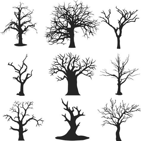 Dode Boom Silhouetten Sterven Zwarte Enge Bomen Bos Illustratie