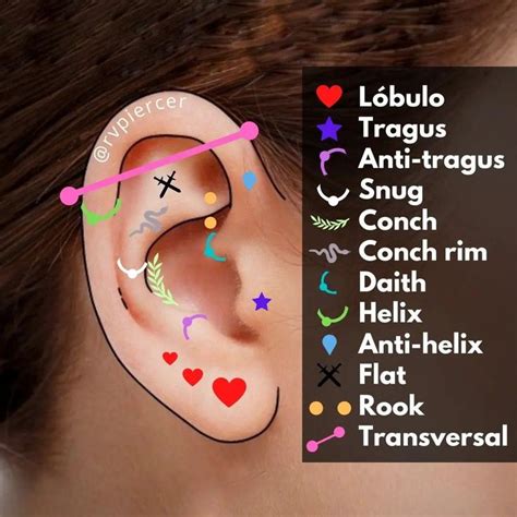 Lugares Para Perfura O Ideias Para Piercings Partes Das Orelhas