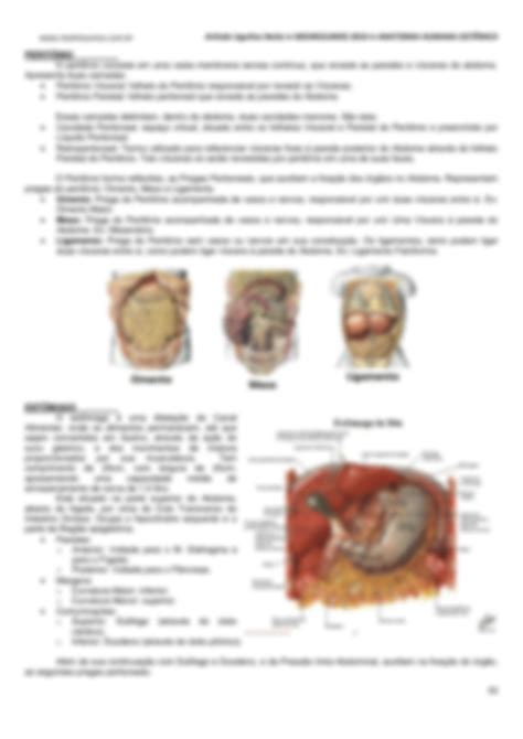 Solution Anatomia Humana Sist Mica Sistema Digest Rio Studypool