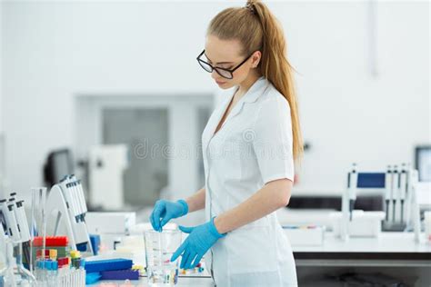 Pipeta Que Deixa Cair Uma Amostra Em Um Tubo De Ensaio Assistente De