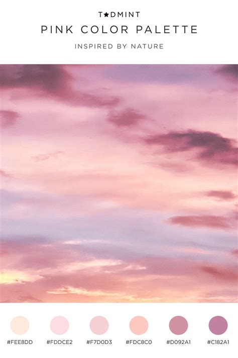 Pink Color Palettes For Web Design A Quick Guide TADMINT Design