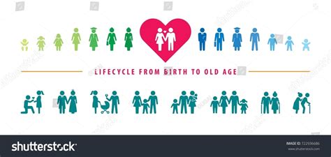 Vector Icon Set Life Cycle Aging Stock Vector Royalty Free 722936686