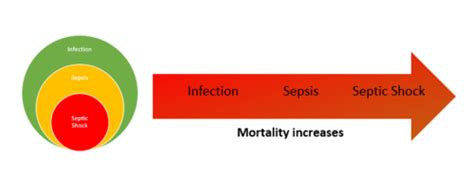 Sepsis And Septic Shock Id Flashcards Quizlet