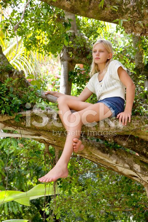 Foto De Stock Chica Bonita Rubia En Un Árbol De Banyan Libre De Derechos Freeimages