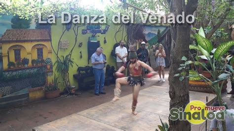 LA DANZA DEL VENADO en Mazatlán Sinaloa YouTube