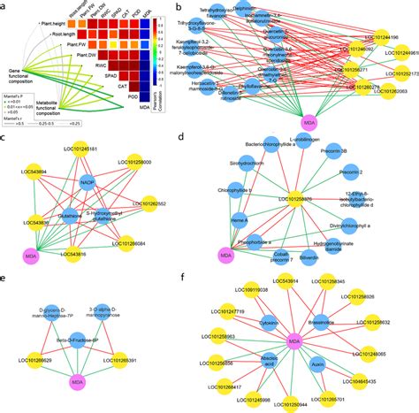 Characterization Of The Integrated Transcriptome Metabolome And