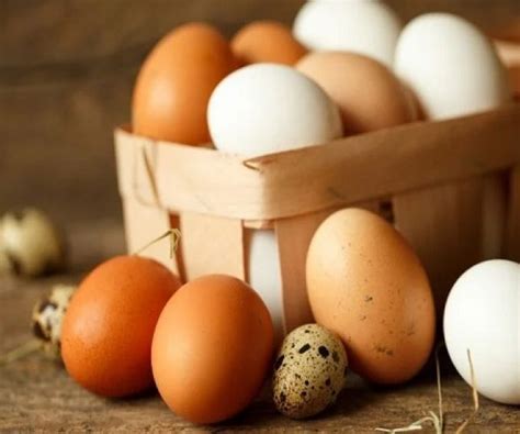 Notícias Qual é a diferença entre ovos brancos e vermelhos VEJA
