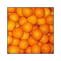 Fresh Nagpuri Orange At Best Price In Navi Mumbai Id Sai