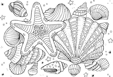Coloriage Coquillages à imprimer