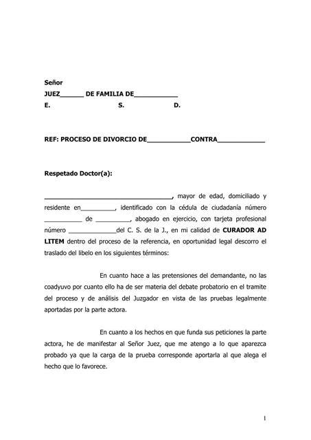 Contestación Demanda por el Curador AD LITEM jorge elias uDocz