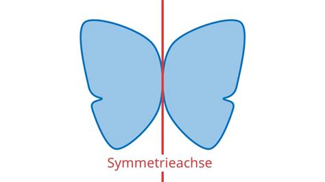 Symmetrieachse Was Ist Eine Symmetrieachse Mit Video