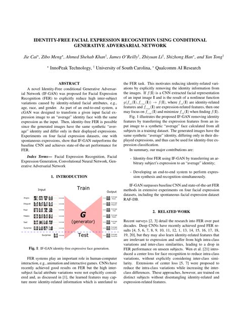 pdf identity free facial expression recognition using conditional generative adversarial network