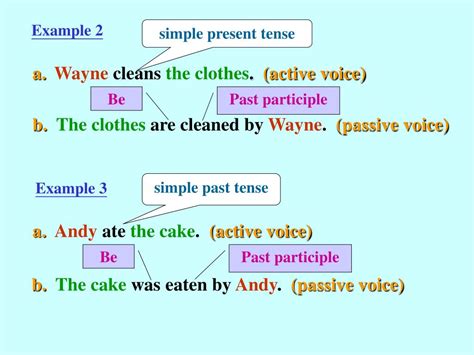 Contoh Passive Voice Simple Past Tense Berbagai Contoh