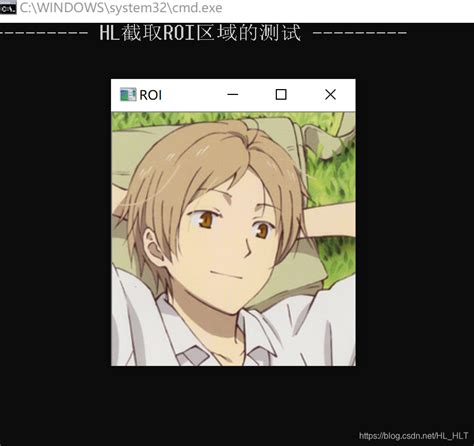 opencv用不同的方法截取roi区域（python） cv2 roi csdn博客