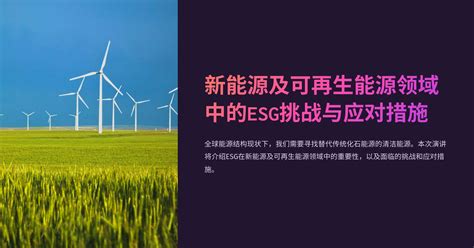 新能源及可再生能源领域中的ESG挑战与应对措施 Gamma