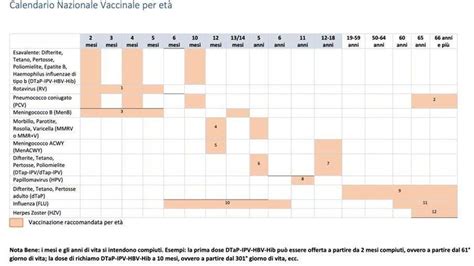 Piano Nazionale Vaccinale Per Piccoli Ragazzi E Adulti Le