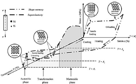 figure 1 from numerical analysis of the rapid solidification process of niti binary alloy