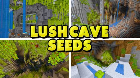 TOP 20 BEST NEW LUSH CAVE SEEDS For Minecraft 1 19 1 Java Bedrock