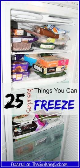25 Surprising Foods You Can Freeze