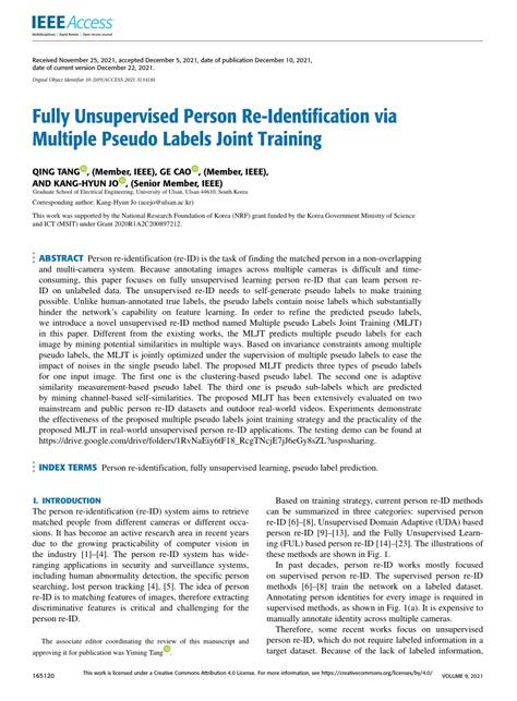 pdf fully unsupervised person re identification via multiple pseudo labels joint training