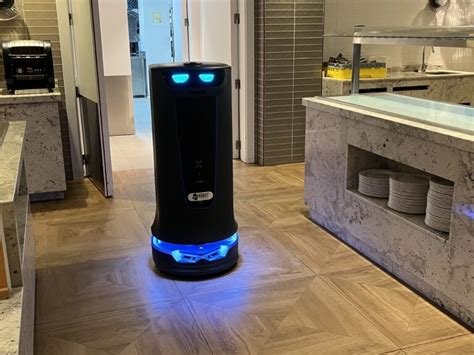 Descubre C Mo Los Robots Para Hoteles Revolucionan La Industria